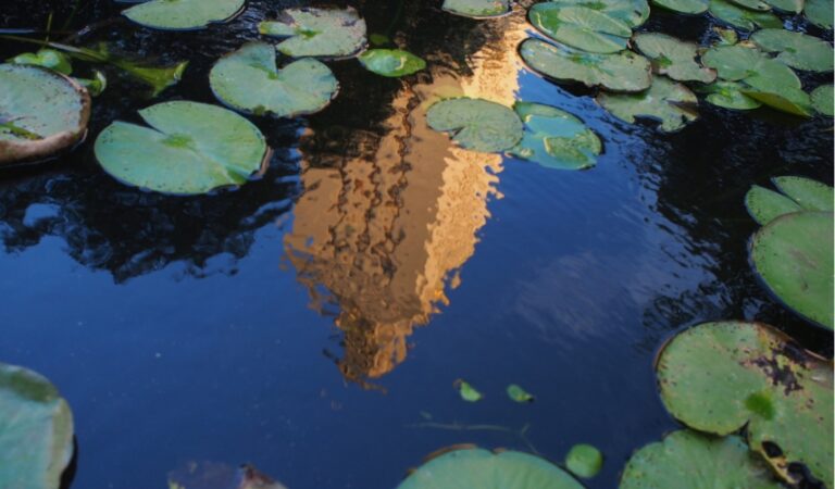 Our Tower - Our Tower